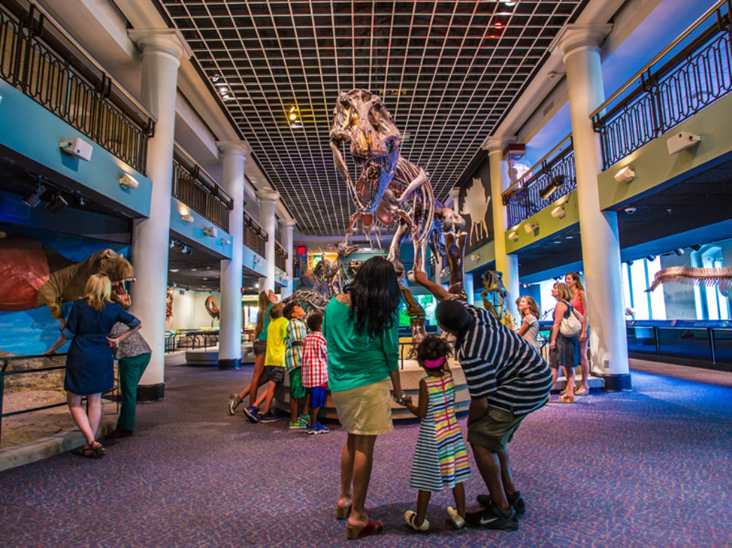 Top 50 Must-See Attractions in Philadelphia — Visit Philadelphia