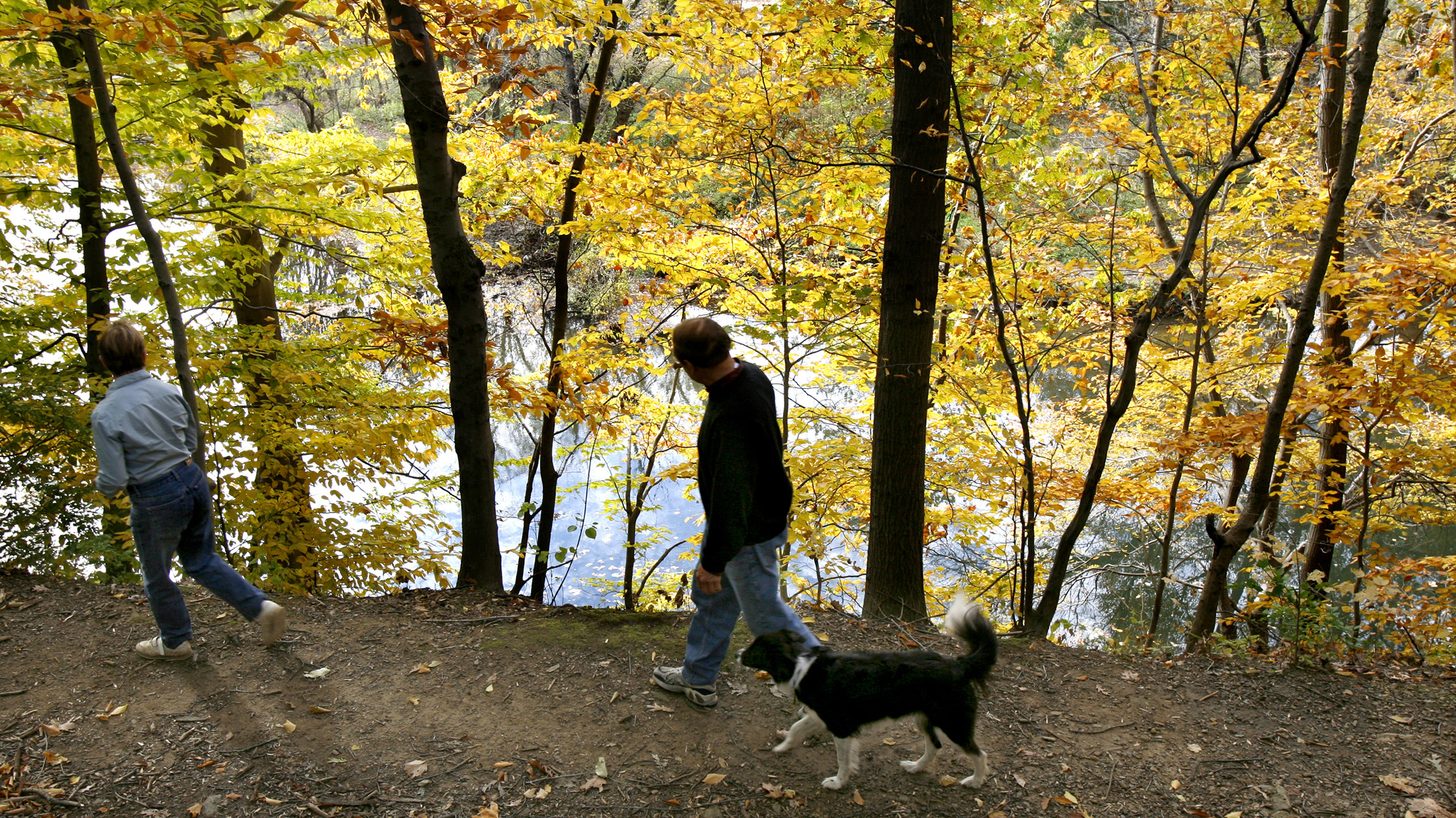 Pennypack Park — Visit Philadelphia