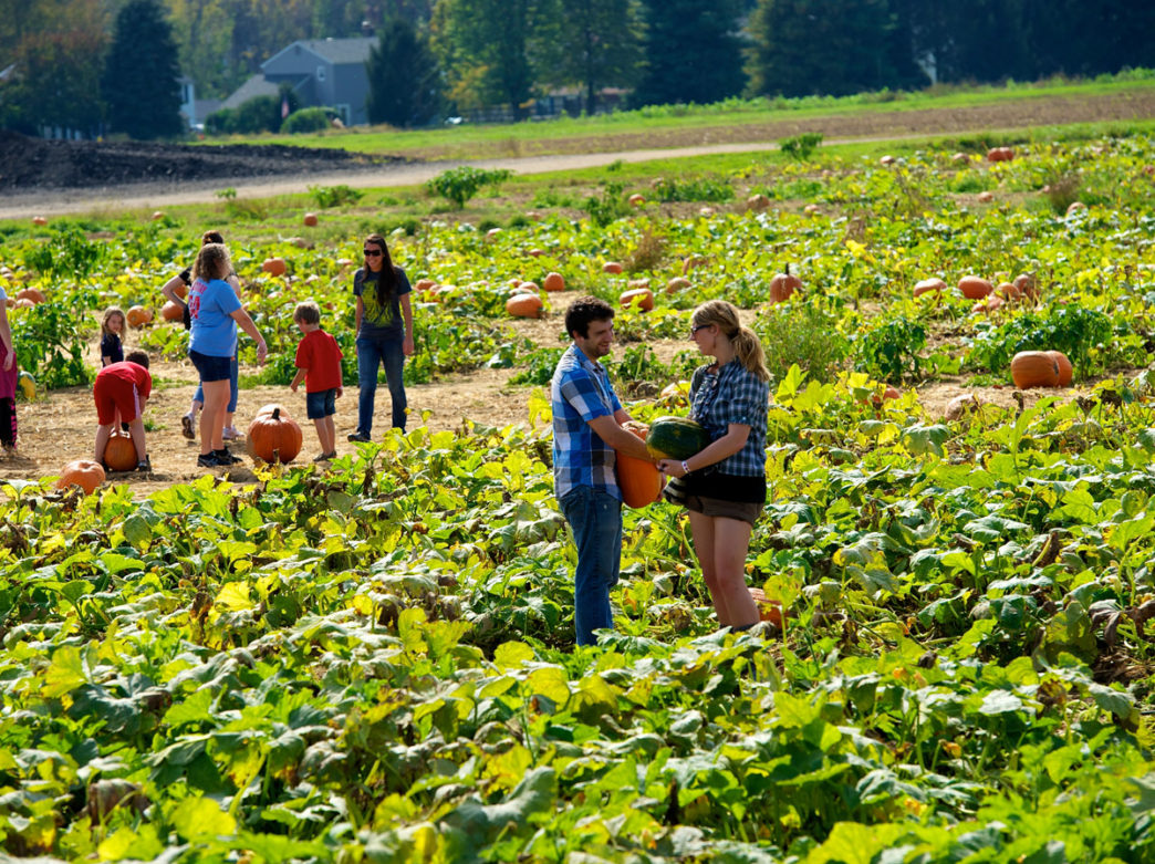 The Best Harvest Festivals in Philadelphia for Fall 2018 – Visit ...