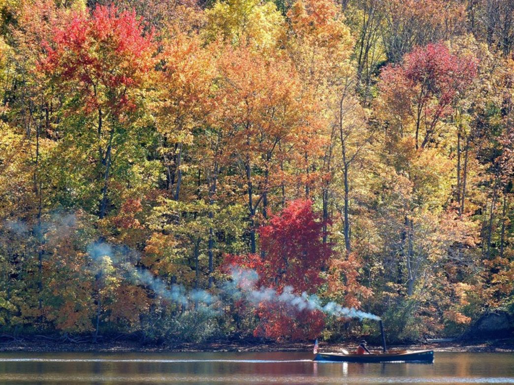 Top Spots to View Fall Foliage in Philadelphia — Visit Philadelphia