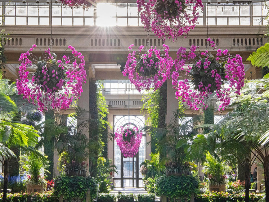 Spring Events in Philadelphia — Visit Philadelphia