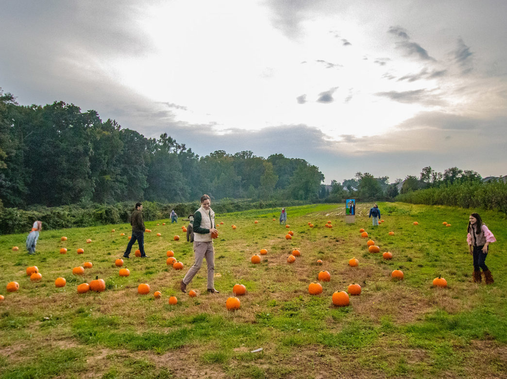 The Best Harvest Festivals in Philadelphia for Fall 2019 – Visit ...